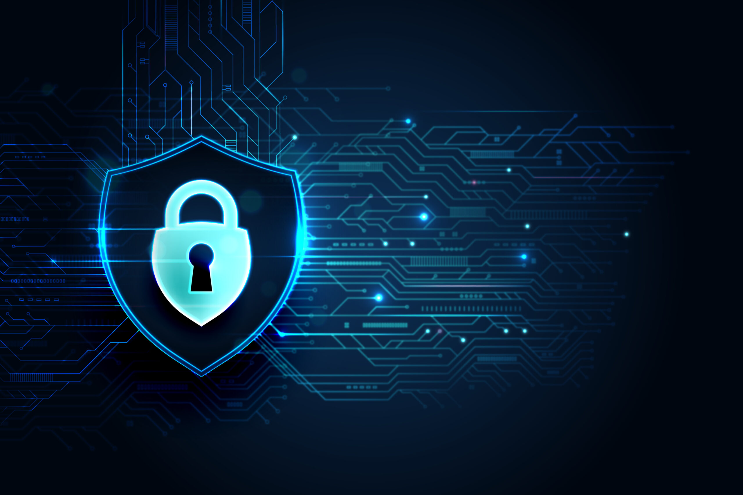 Hoe Databrush omgaat met AVG - INFRADAX OVERHEID